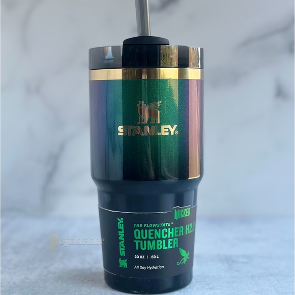 Stanley | Kitchen | Stanley Wicked Elphaba 2 Oz Tumbler | Poshmark